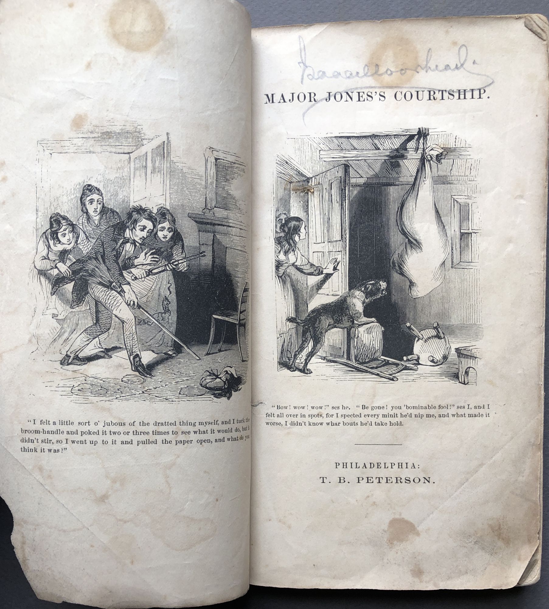 Major Jones's Courtship | William Tappan Thompson