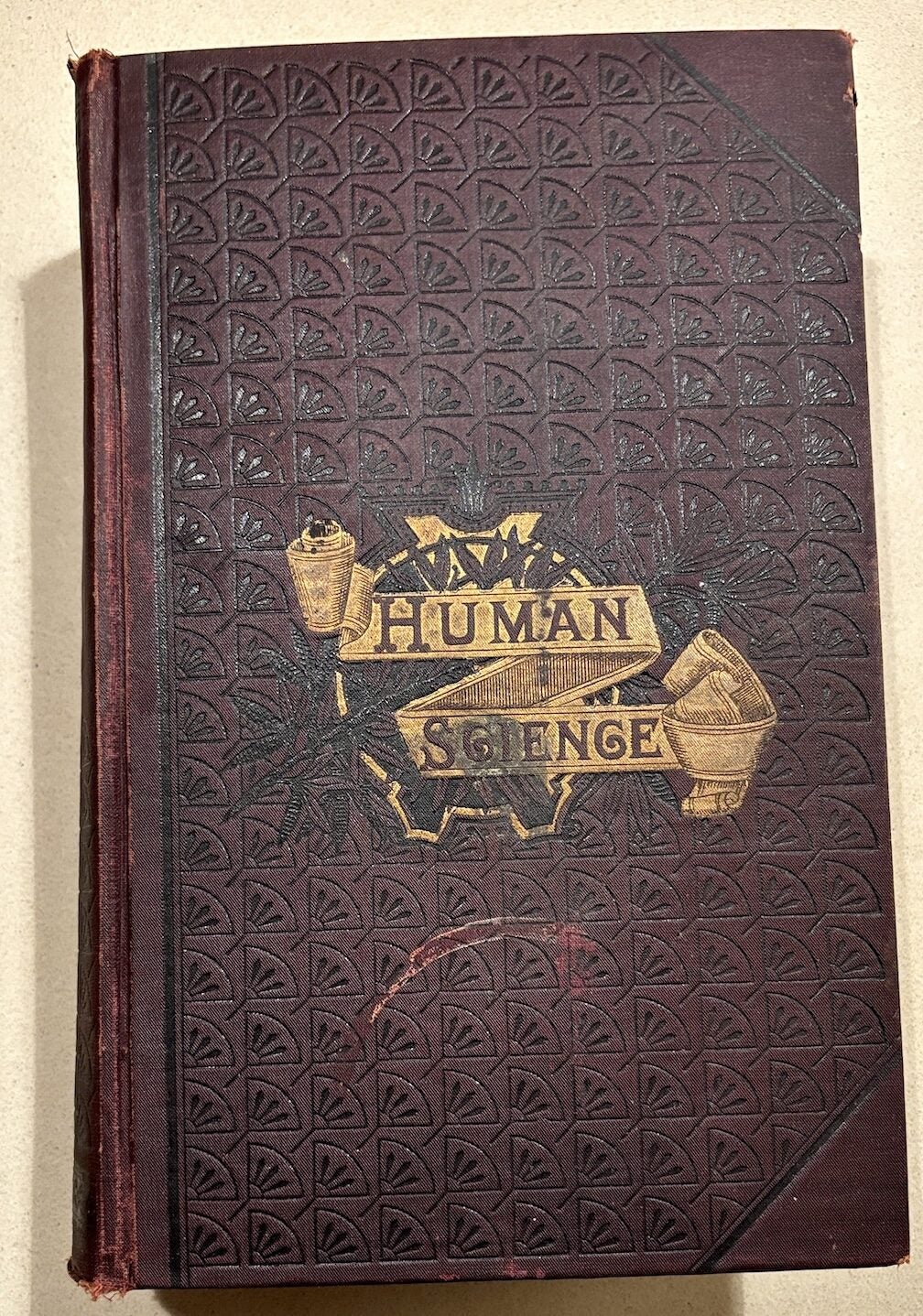 Human Science Or, Phrenology; its Principles, Proofs, Faculties, Organs ...